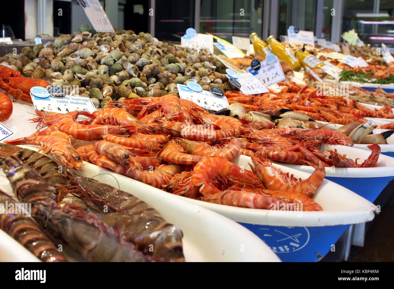 Selection of raw and cooked shrimp, prawn, crab and other shellfish for ...