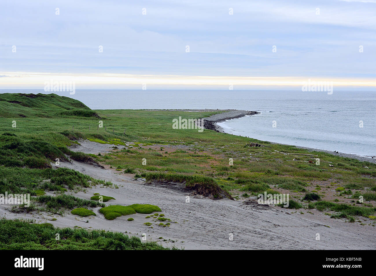 Commander islands hi-res stock photography and images - Alamy