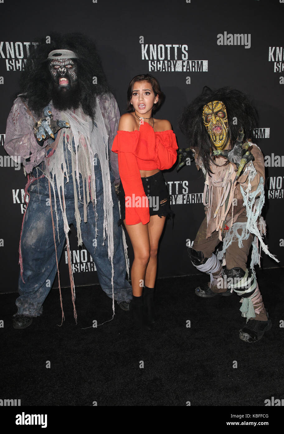 Isabela moner farm hi-res stock photography and images - Alamy