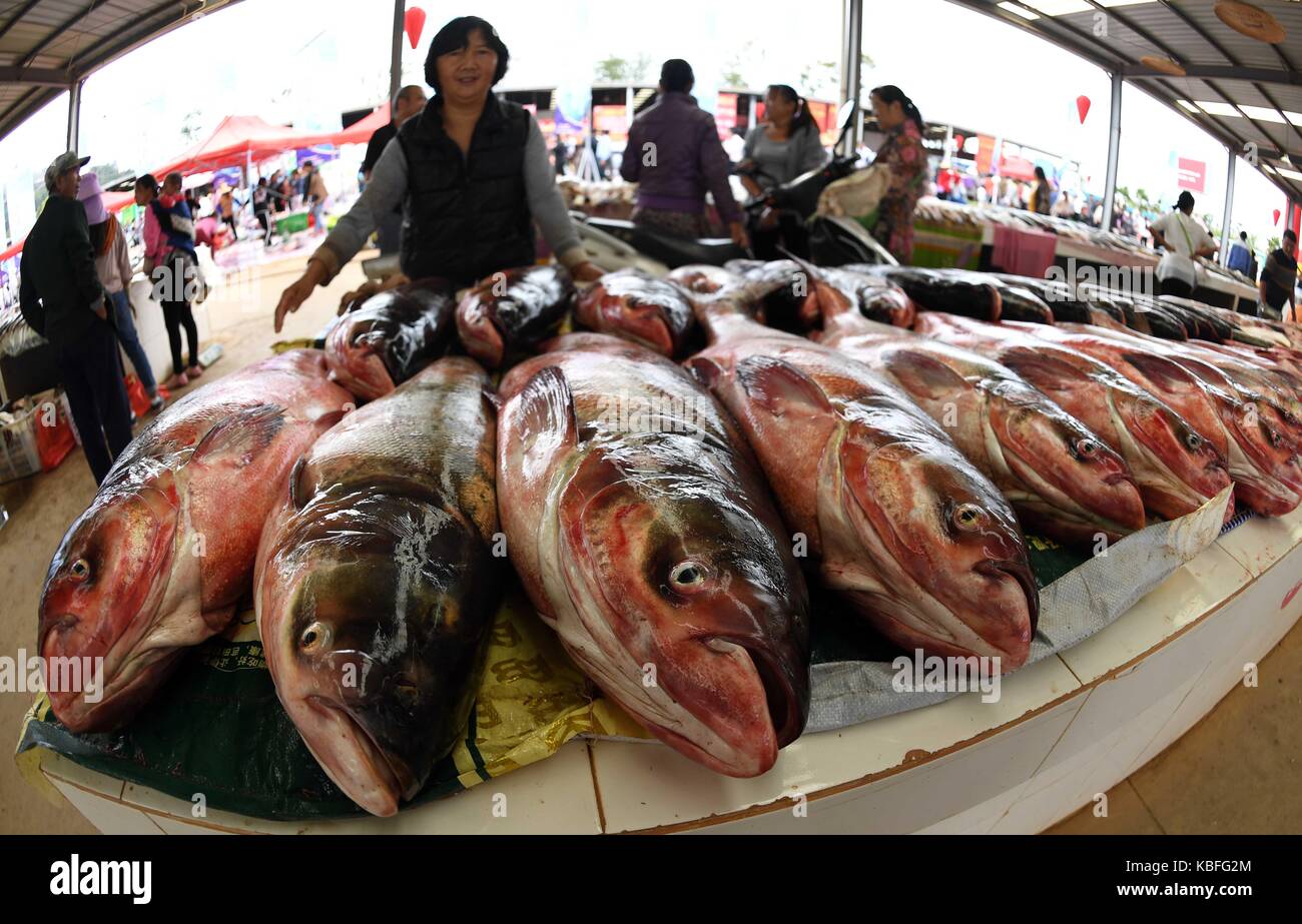Kunming, China's Yunnan Province. 30th Sep, 2017. Fishermen sell fish ...