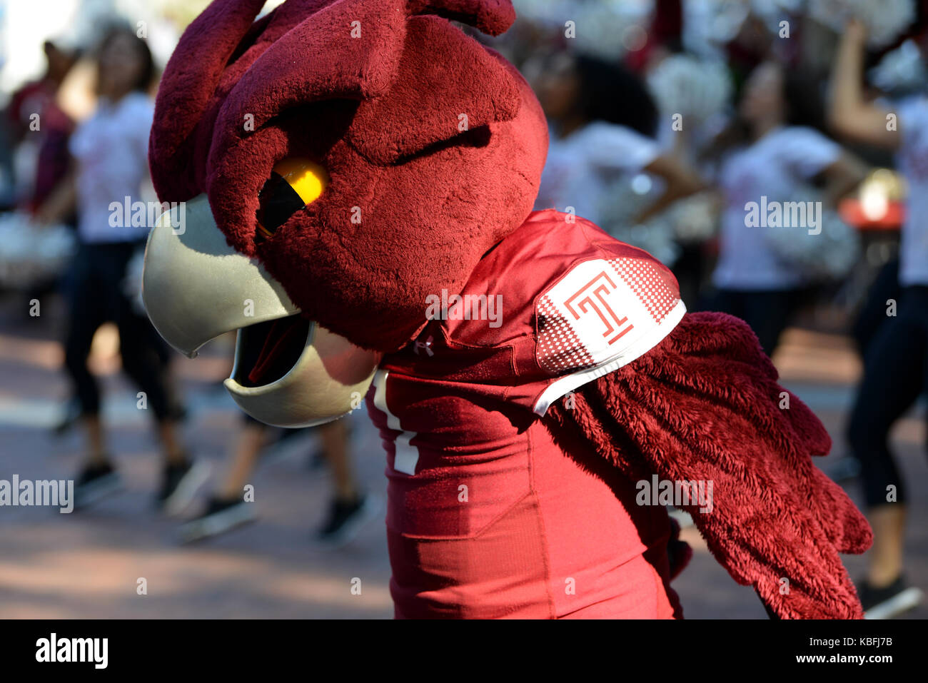 Temple owls mascot hi-res stock photography and images - Alamy