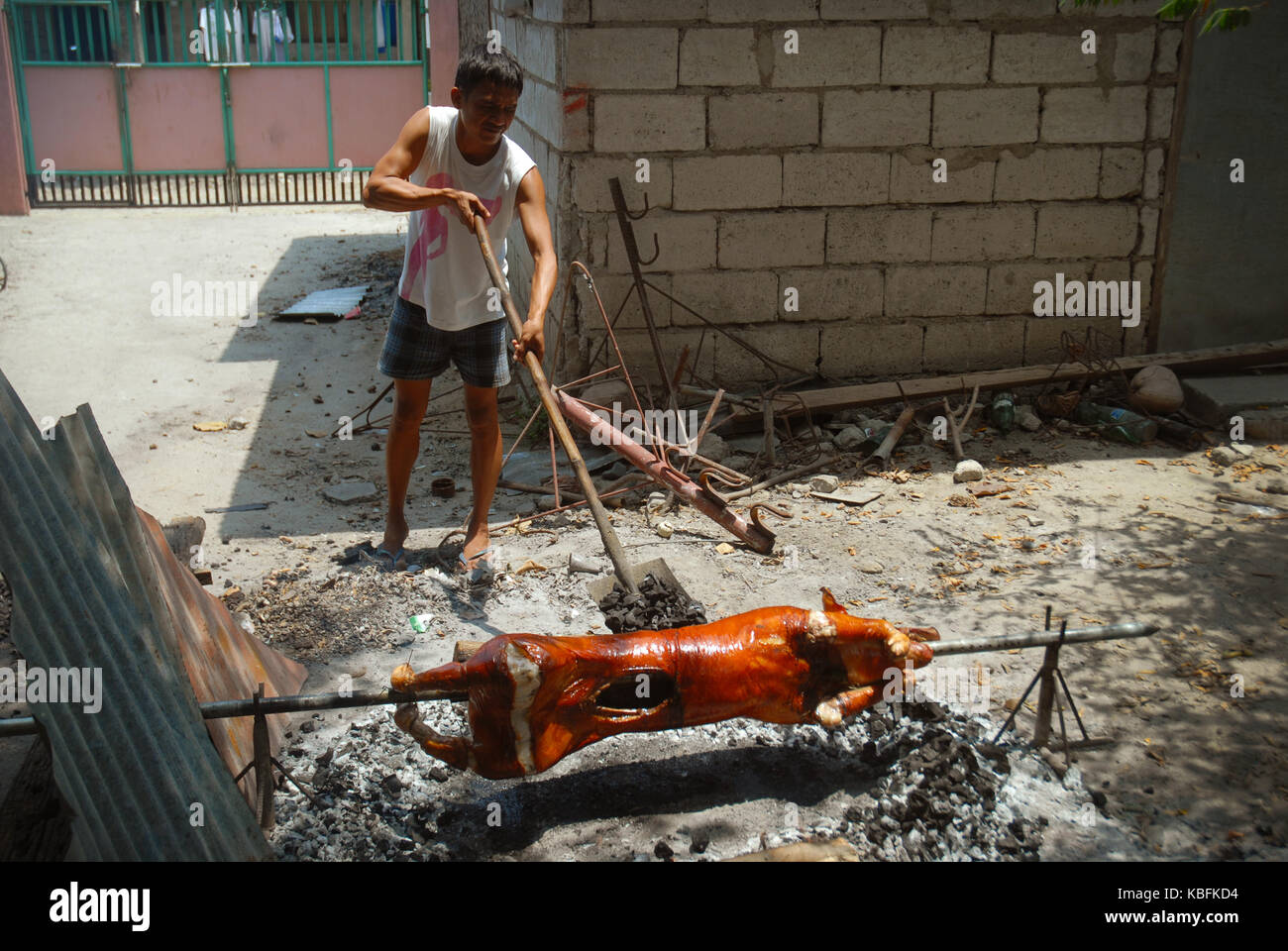 Cooking a pig on a spit on an open fire, Angeles, Philippines Stock ...