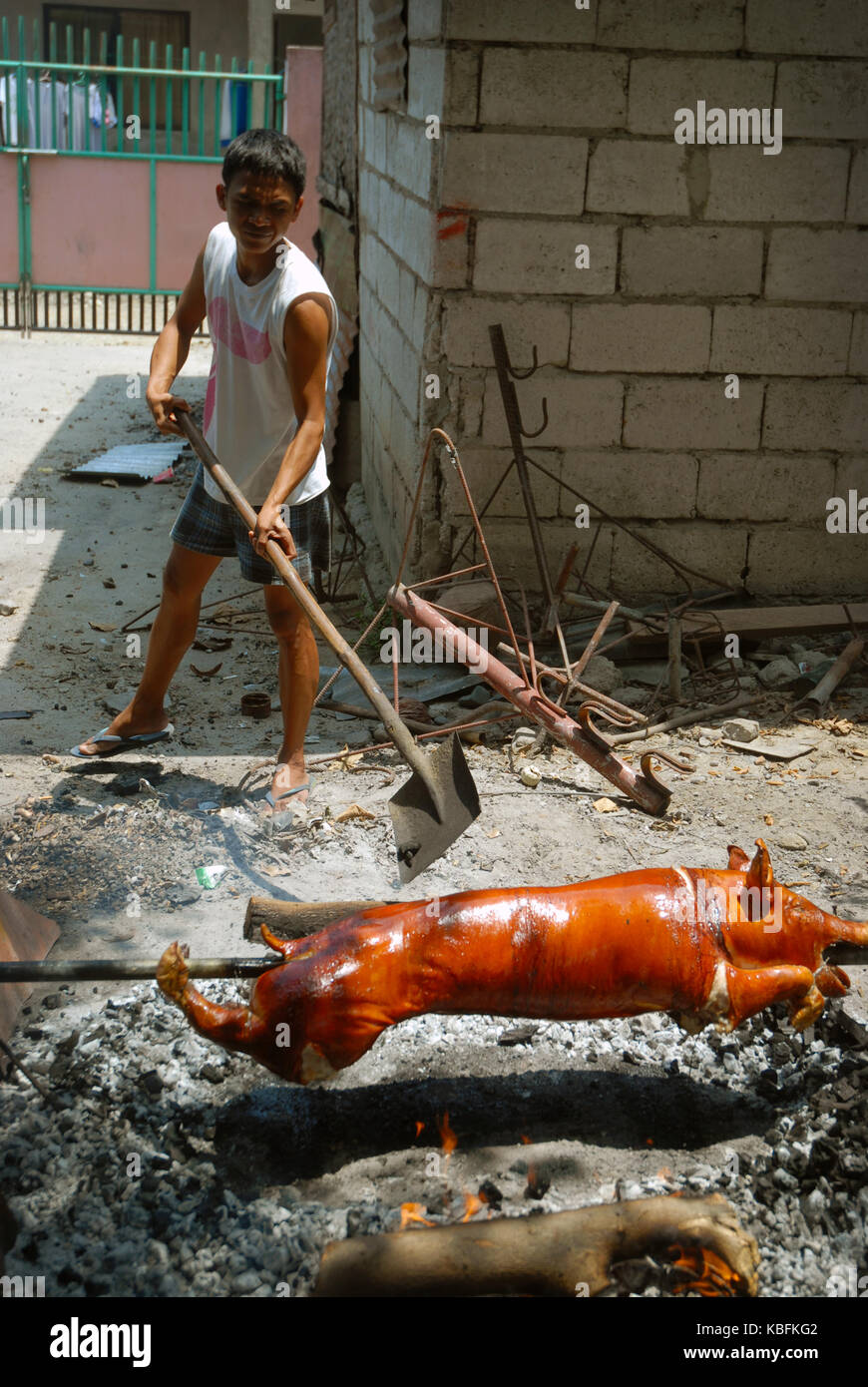 Cooking a pig on a spit on an open fire, Angeles, Philippines Stock ...