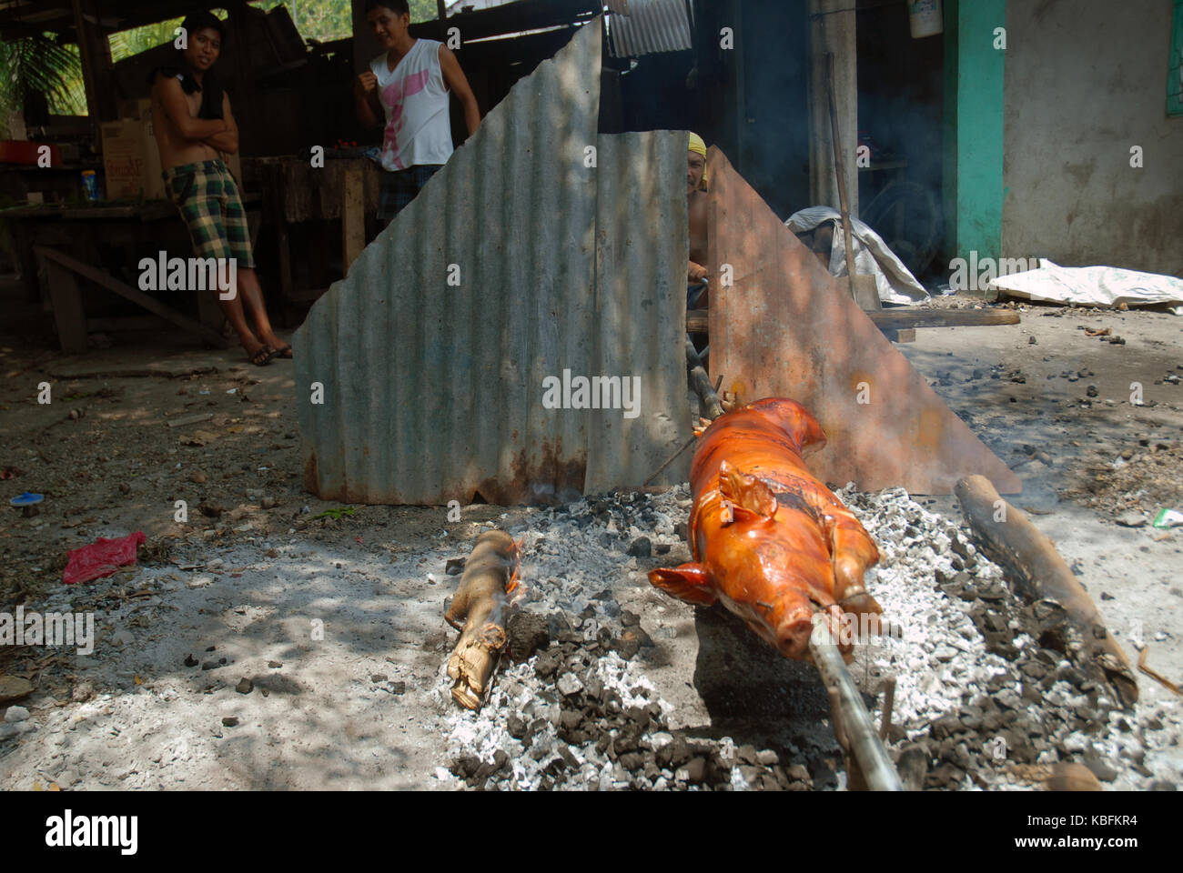Cooking a pig on a spit on an open fire, Angeles, Philippines Stock ...