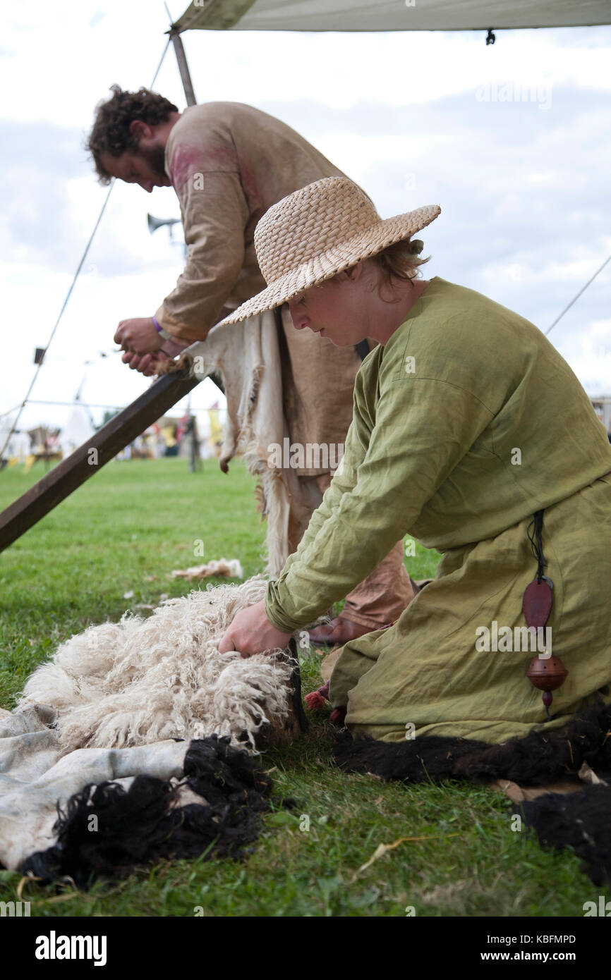 Tawing sheep and goat skins at East Anglian Living History Festival in ...