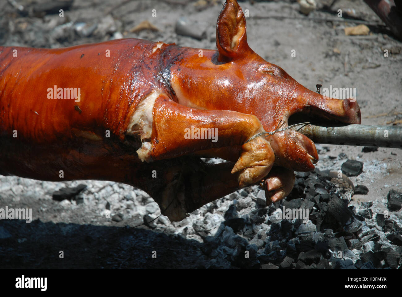 Cooking a pig on a spit on an open fire, Angeles, Philippines Stock ...