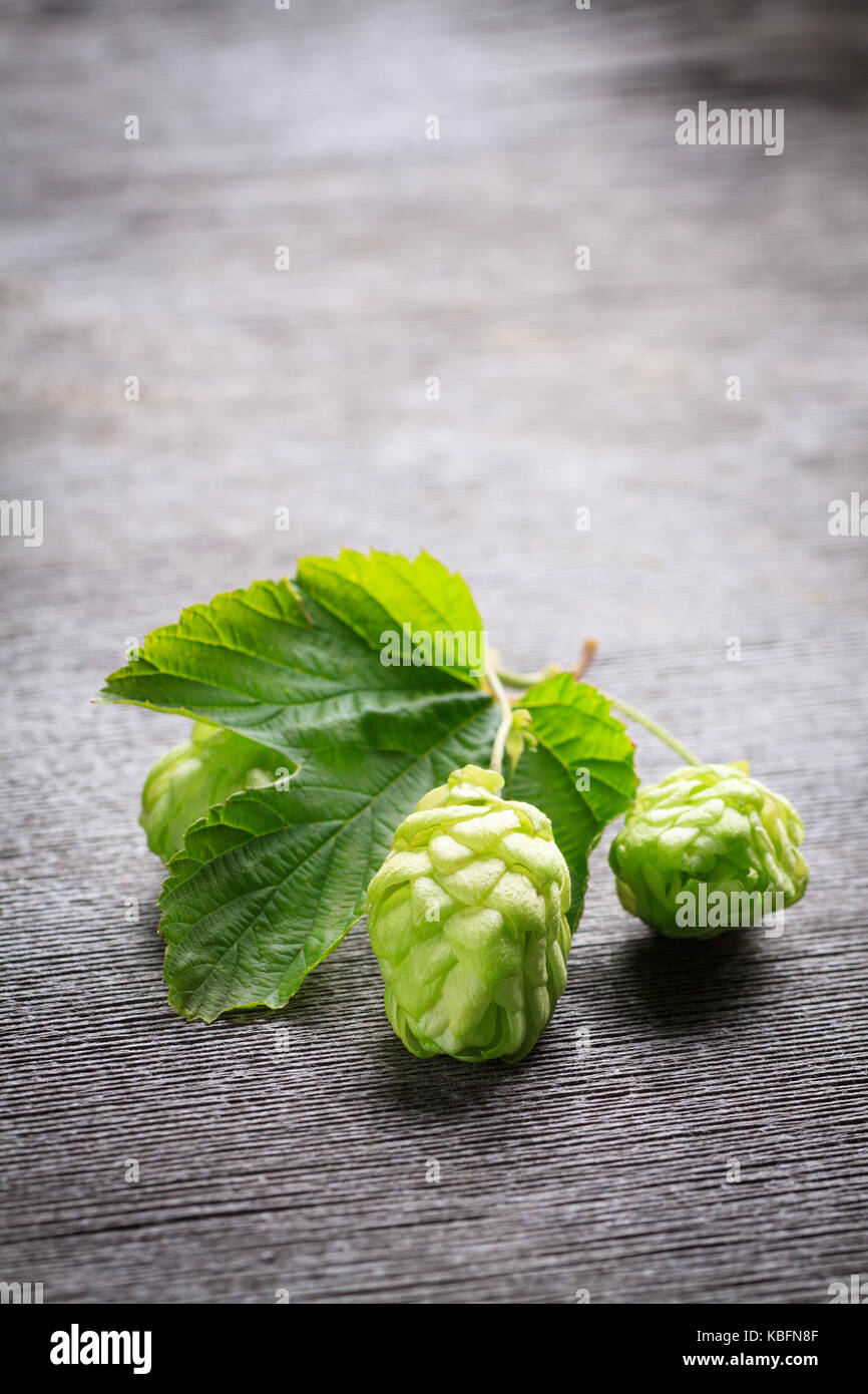 Hop cone hi-res stock photography and images - Alamy