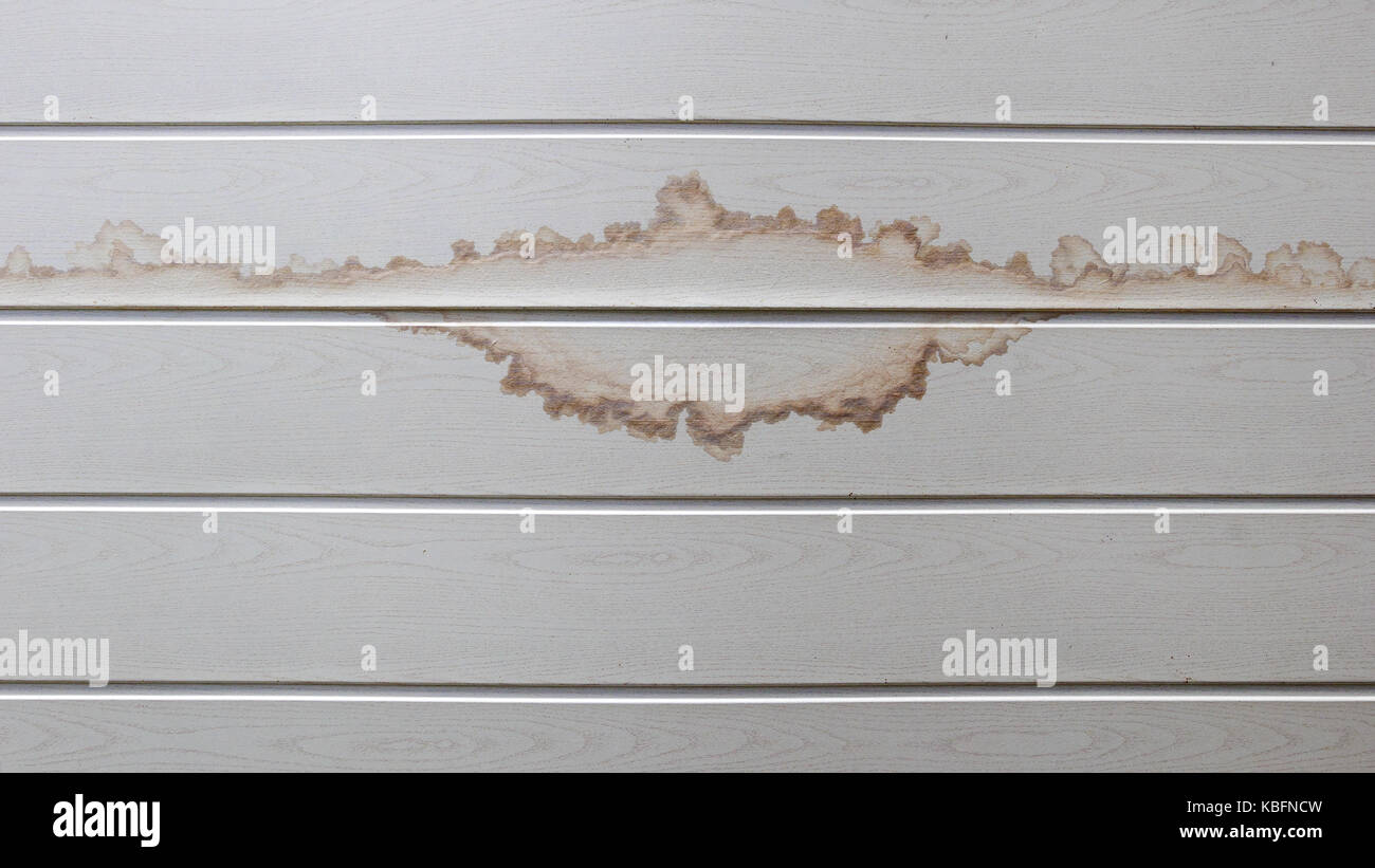 Wet stain of rain on polypropylene panels ceiling Stock Photo - Alamy
