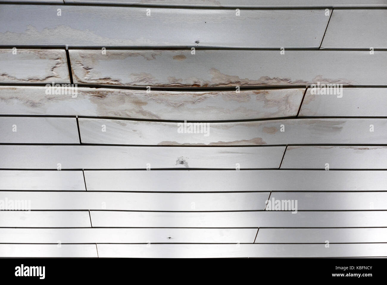 Wet stain of rain on polypropylene panels ceiling Stock Photo - Alamy
