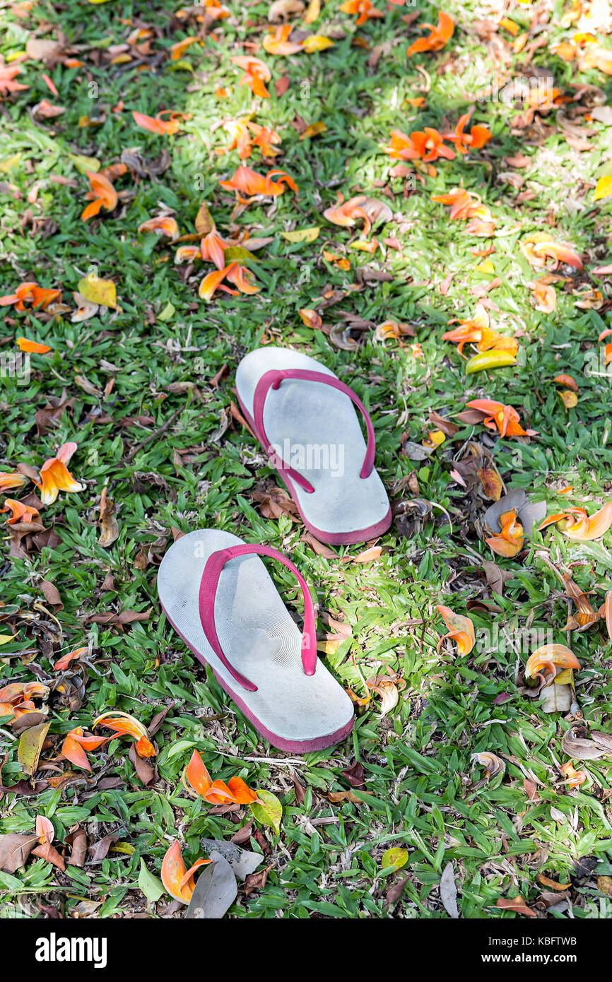 Close up of rubber slippers and flower on grass Stock Photo - Alamy