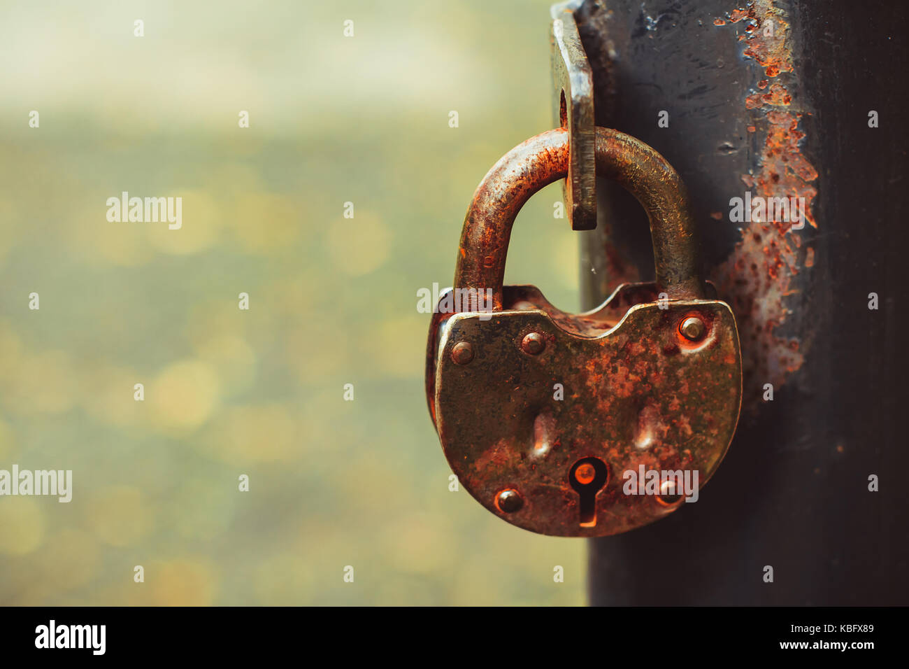 Private protect insure hi-res stock photography and images - Alamy