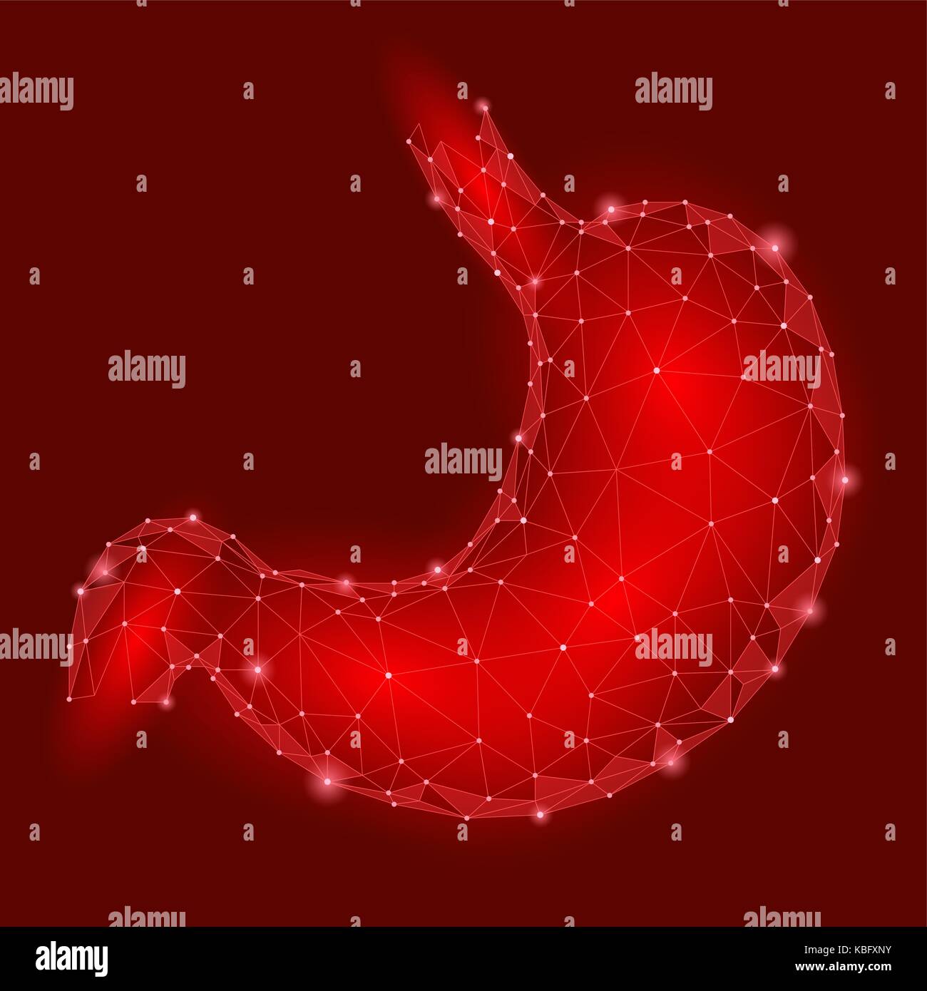 Low poly human stomach Stock Vector Images - Alamy