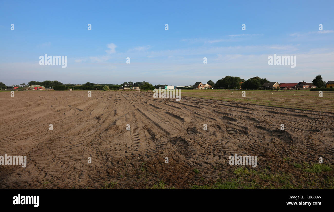 wide field plowed with dry ground in the Dutch plain in summer Stock ...