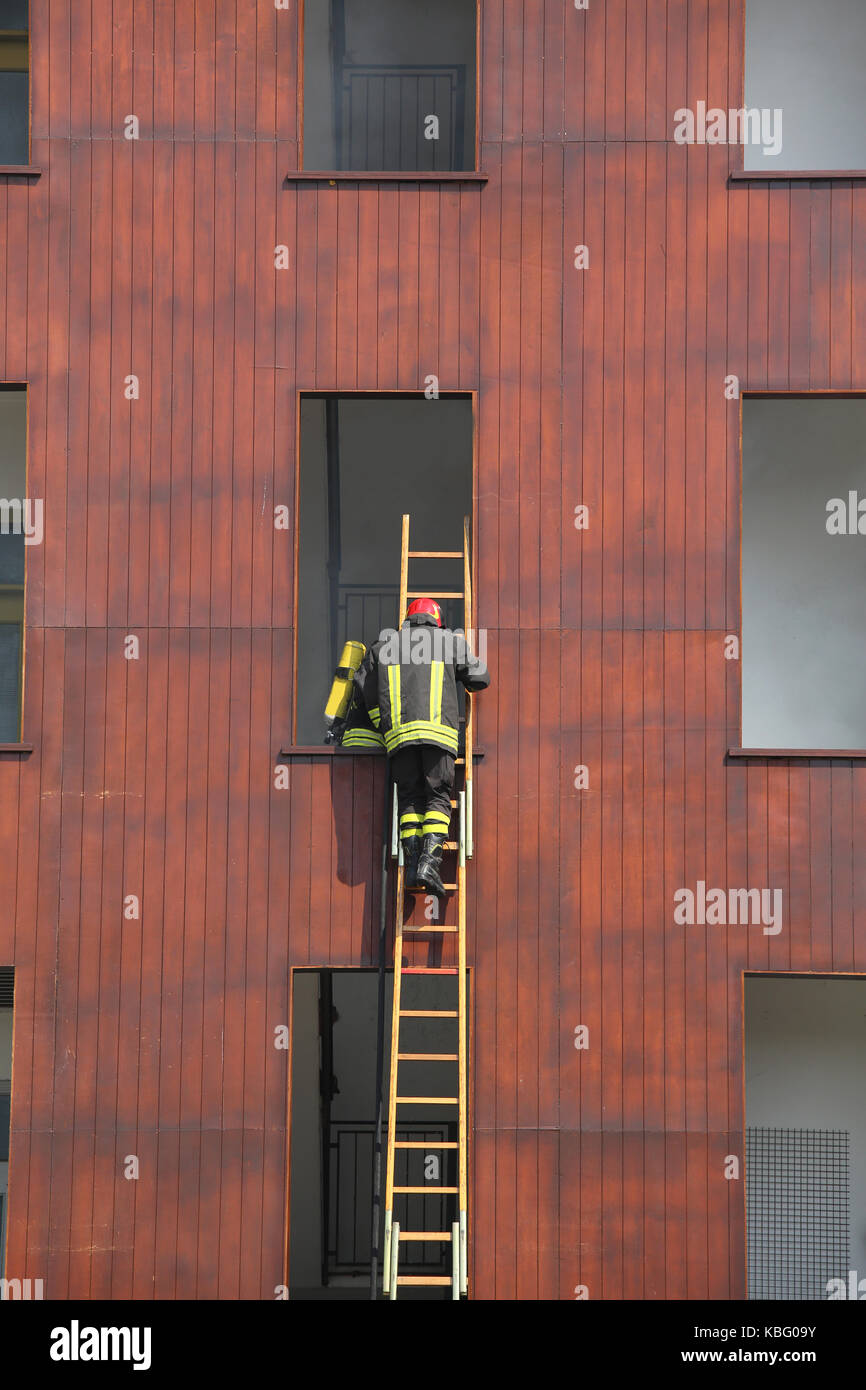 firefighters during a long ladder exercise and the fire brigade ...