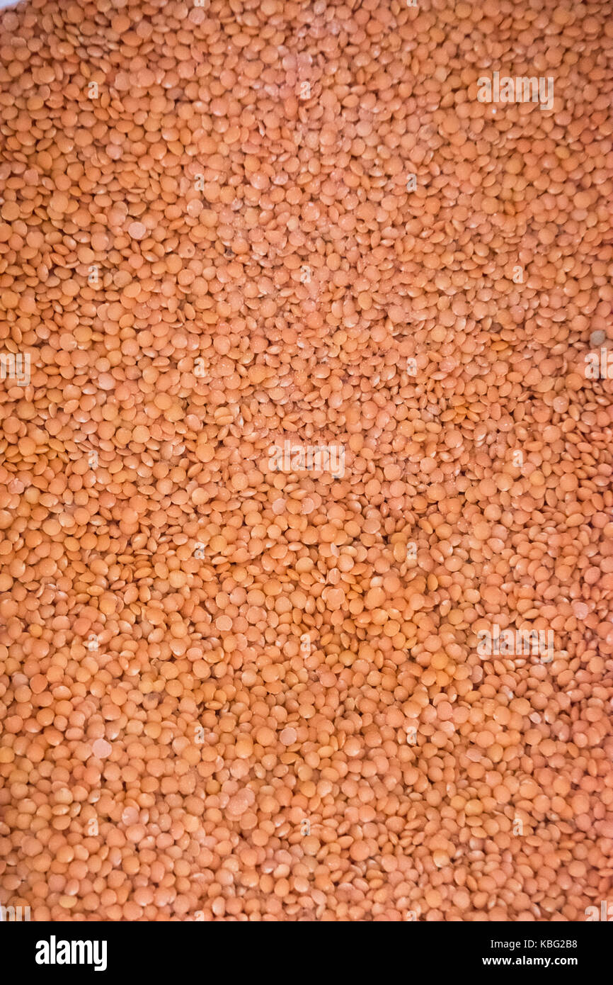 Only an expanse of lentils in pattern Stock Photo - Alamy