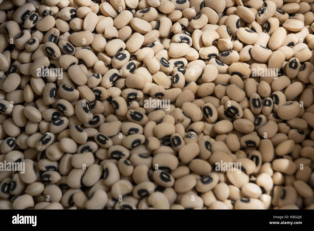 Only one eye beans in pattern Stock Photo - Alamy
