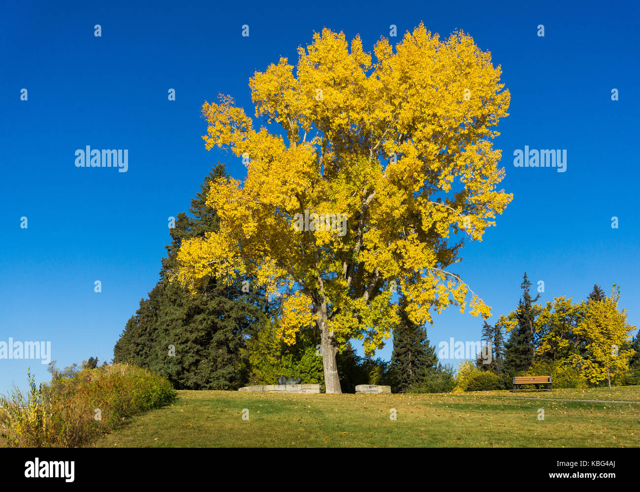 Baker Park Calgary AB Stock Photo - Alamy