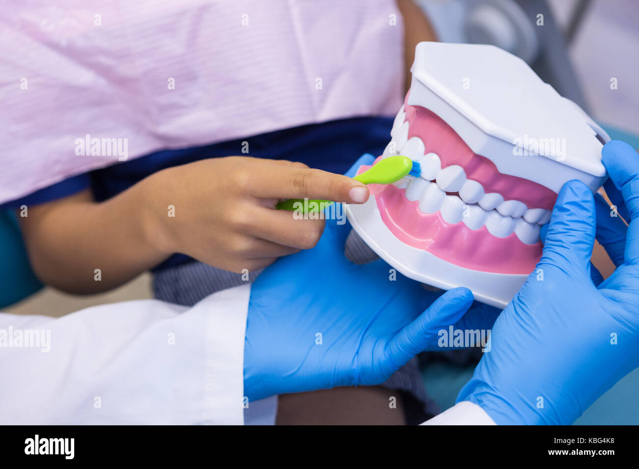 Cropped image of dentist teaching boy brushing teeth of dentures at ...