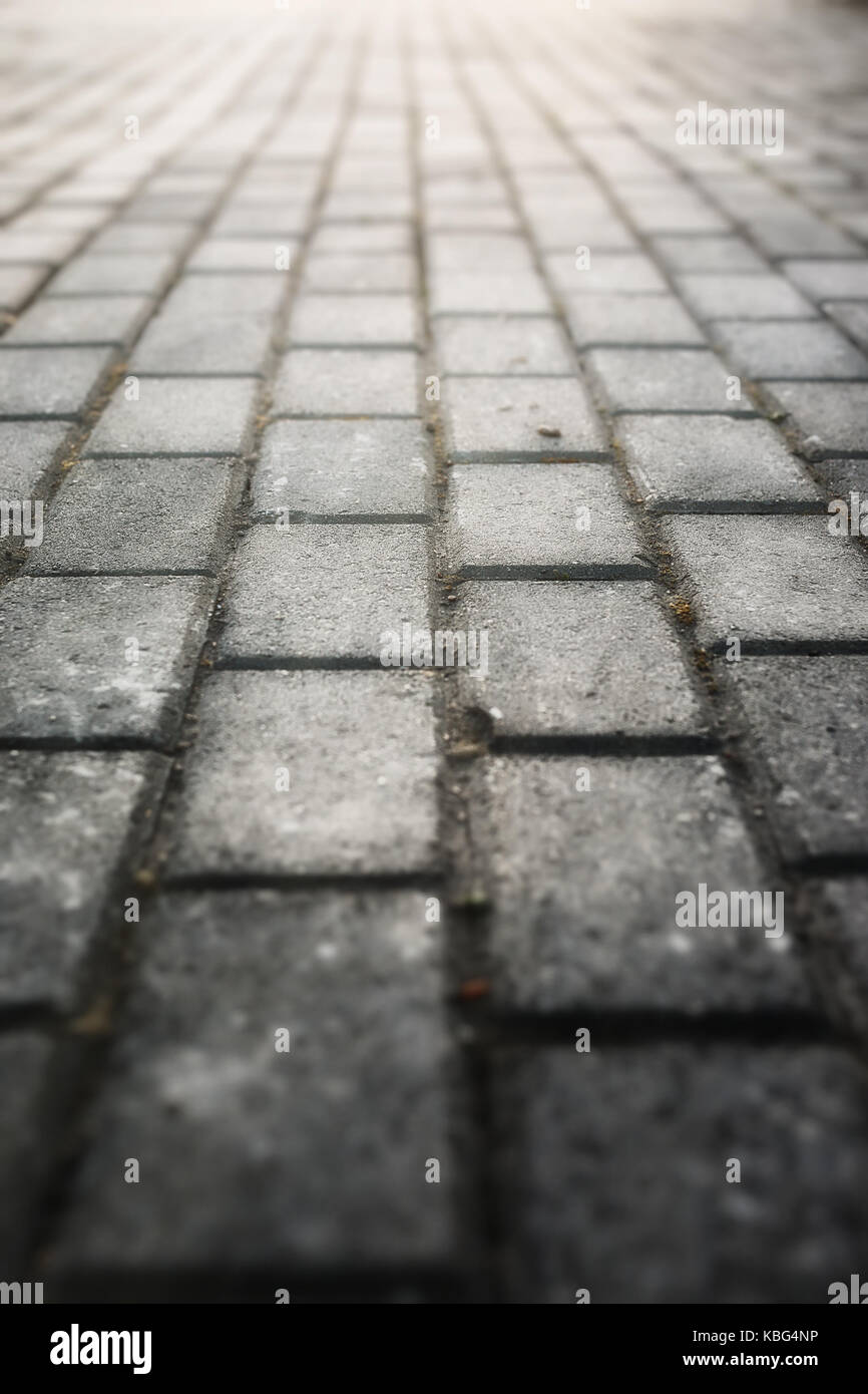Gray paving stone path goes away the prospect in sunset Stock Photo - Alamy