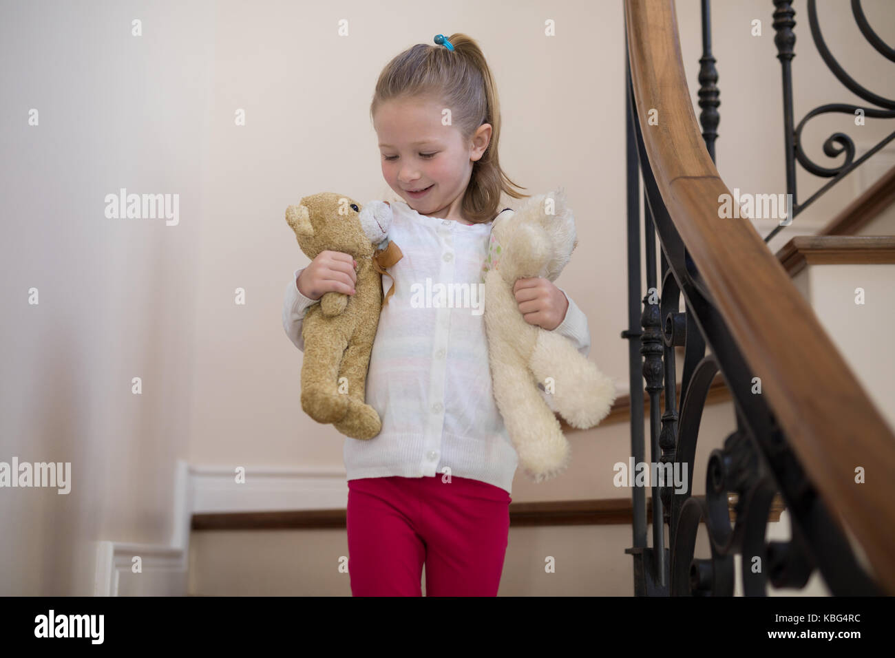 Real teddy bear hi-res stock photography and images - Alamy