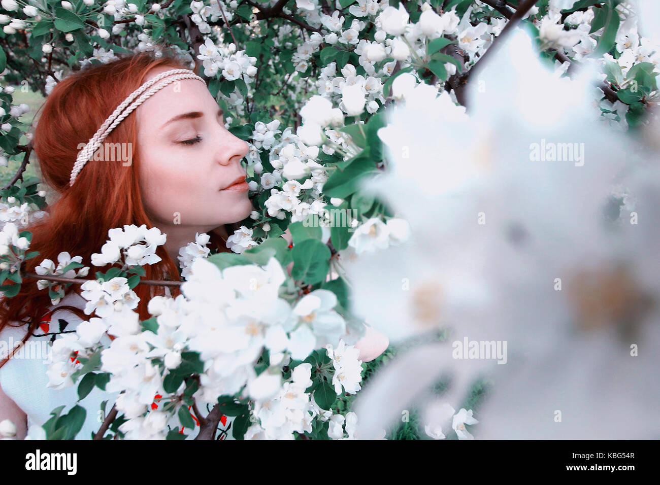 Girl in the spring walks through the apple alley in the evening Stock ...