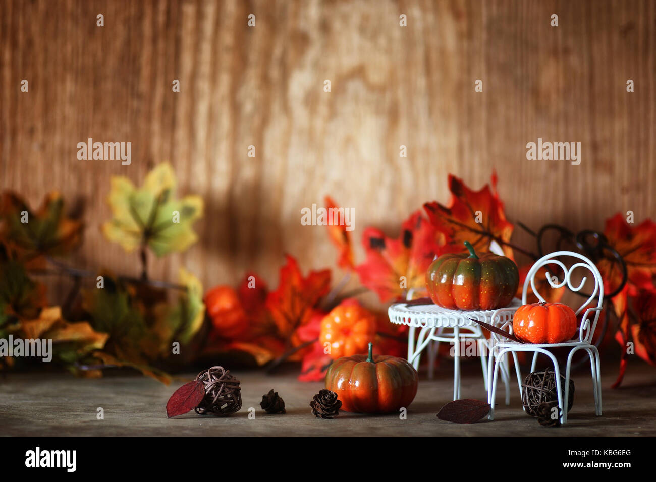 fresh pumpkin in interior wooden room on chair Stock Photo - Alamy
