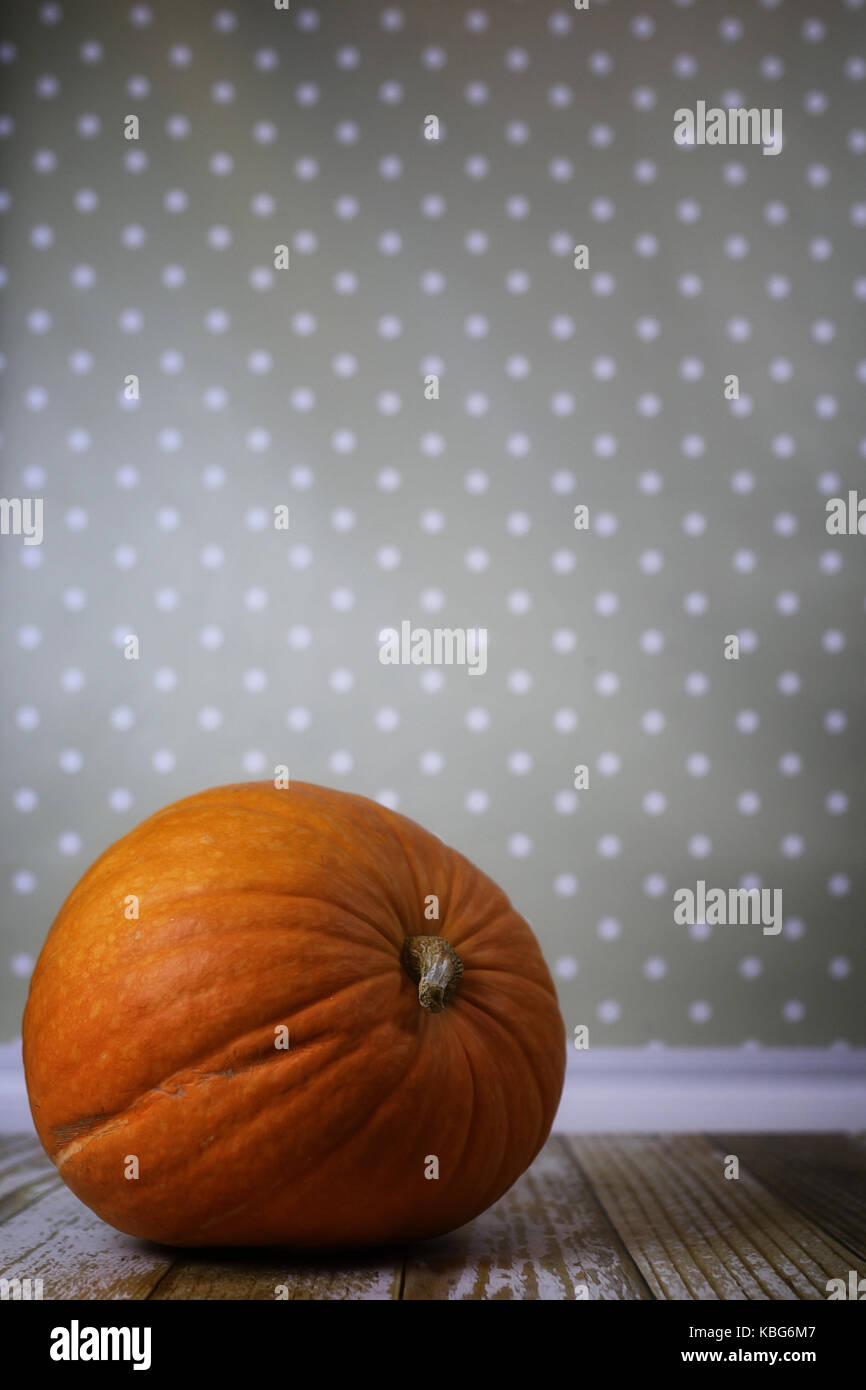 fresh pumpkin in interior wooden room on chair Stock Photo - Alamy