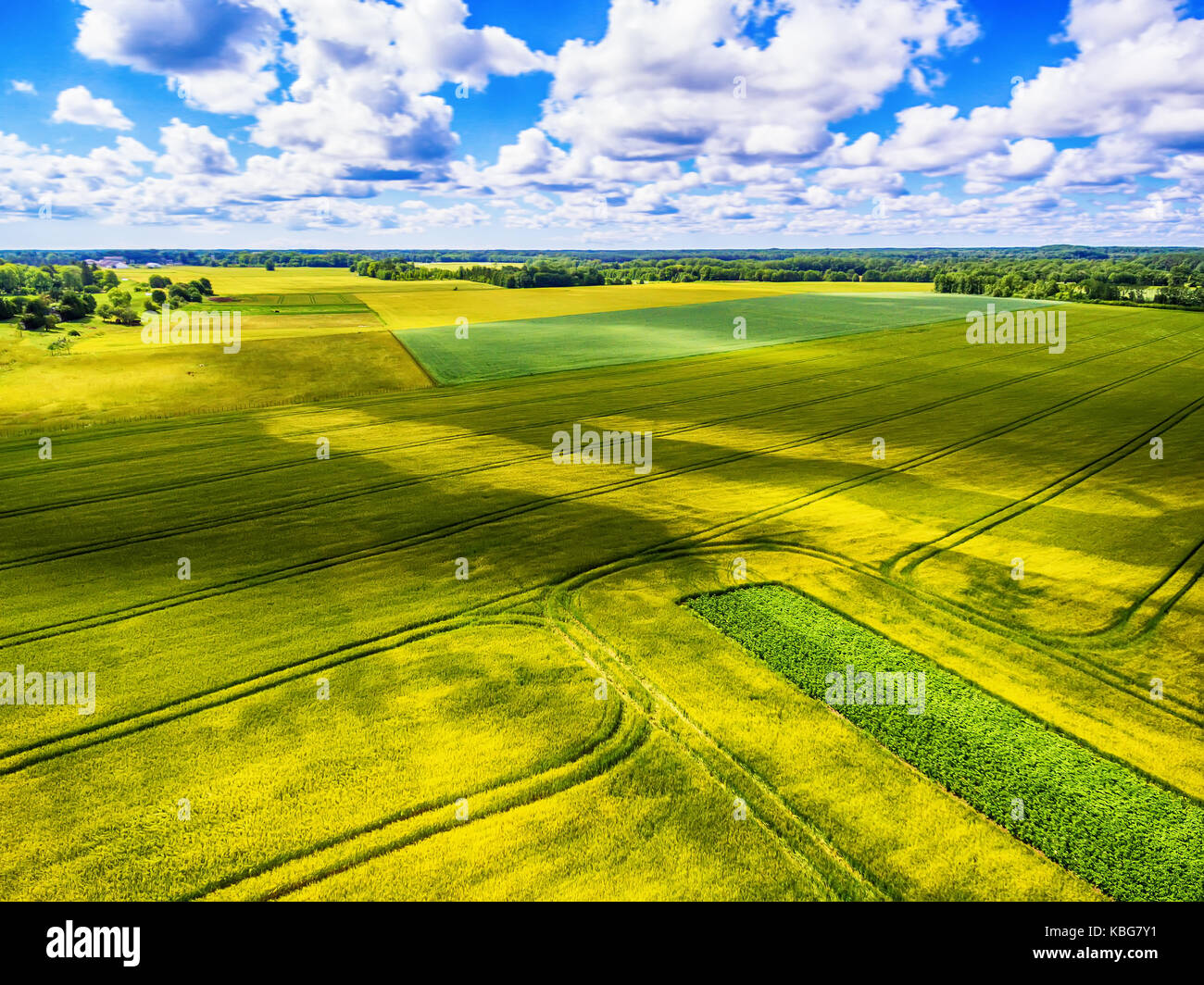 Saarema Island, Estonia: aerial top view of summer fields in Leisi ...