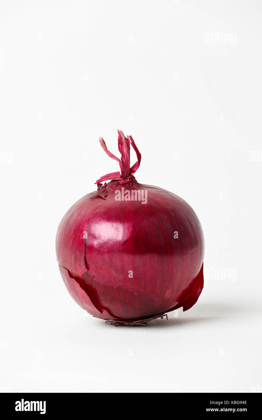 Onion With Roots High Resolution Stock Photography and Images - Alamy