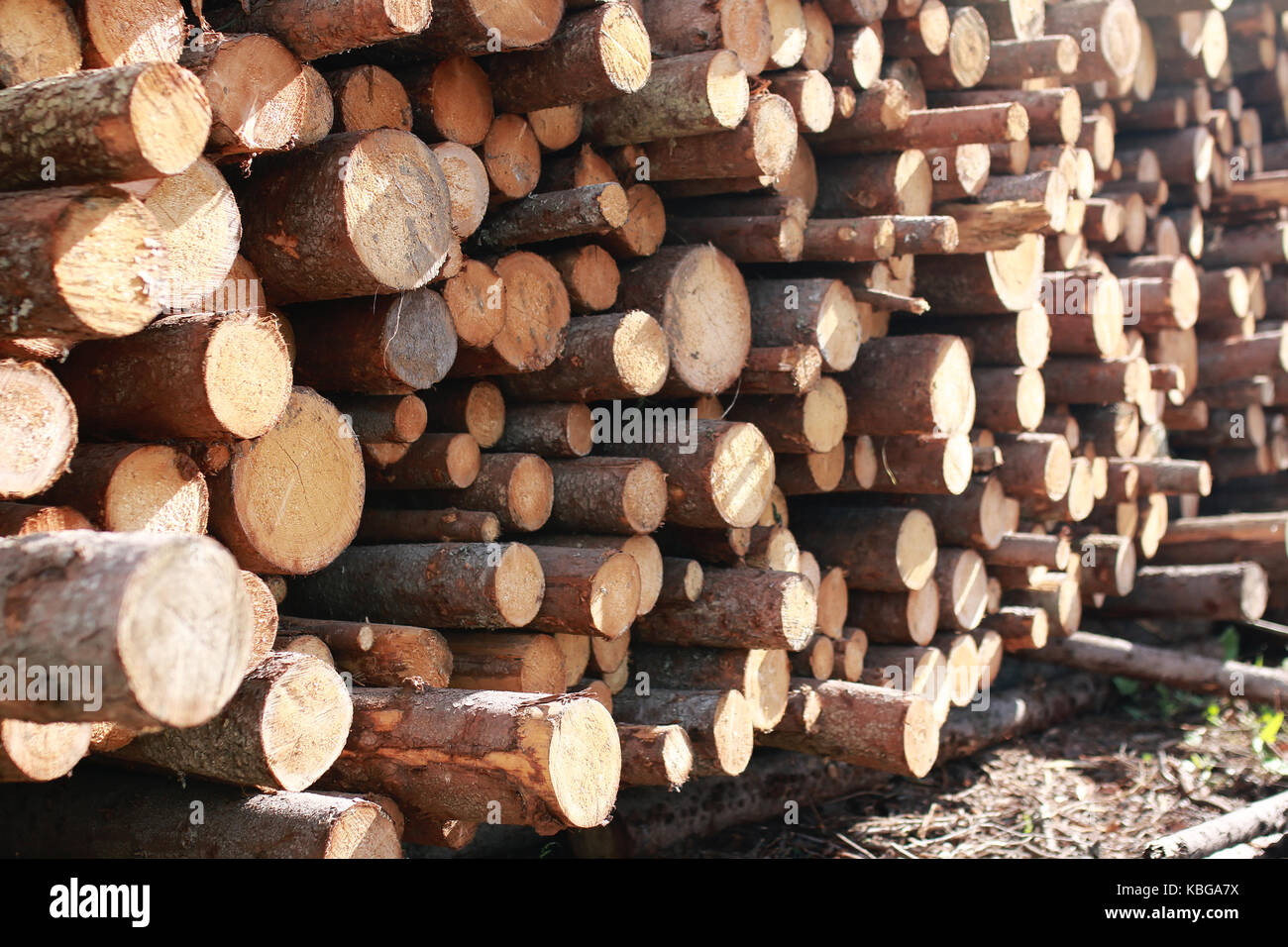Sawn logs wood lie hi-res stock photography and images - Alamy