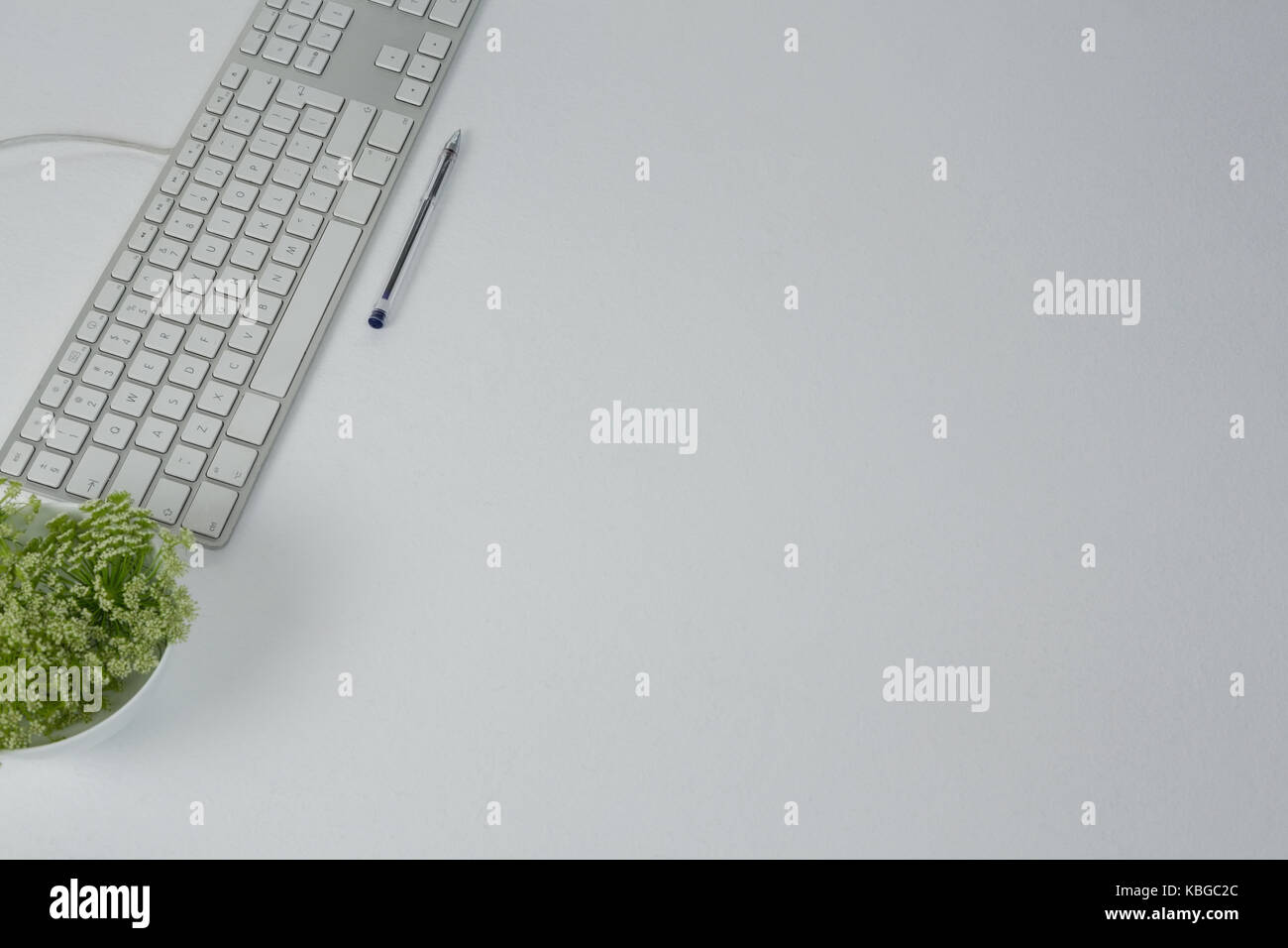 Overhead of keyboard, pen and pot plant on white background Stock Photo ...
