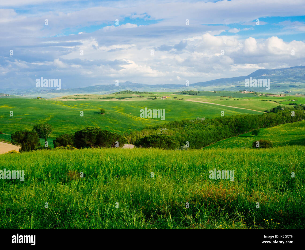 Beautyful Tuscany fields panoramic landscape - Italy Stock Photo - Alamy