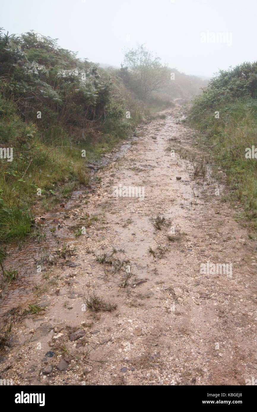 Wet conditions hi-res stock photography and images - Alamy