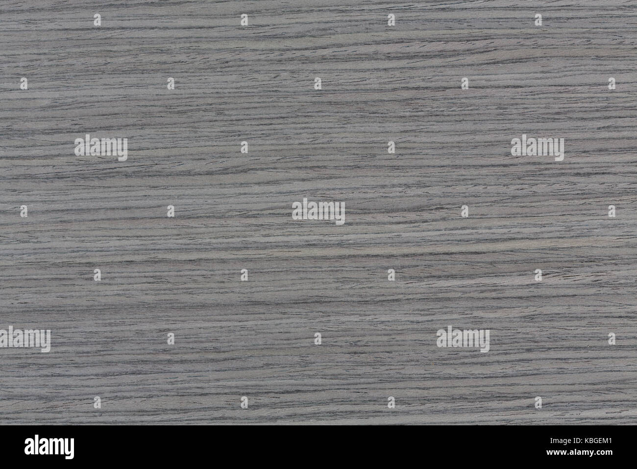 Exclusive gray oak texture on macro Stock Photo - Alamy