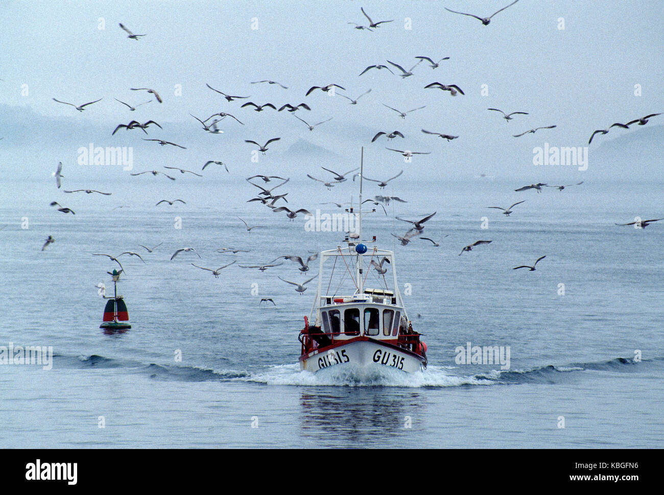 Channel Islands. Guernsey. Fishing boat returning to port Stock Photo ...