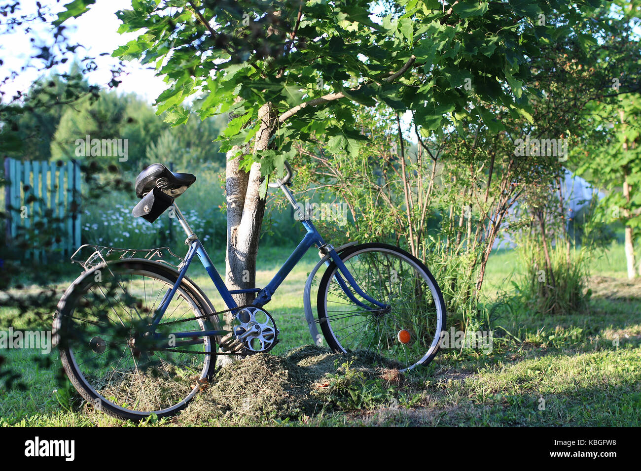 Autumn view basket on bicycle hi-res stock photography and images - Alamy