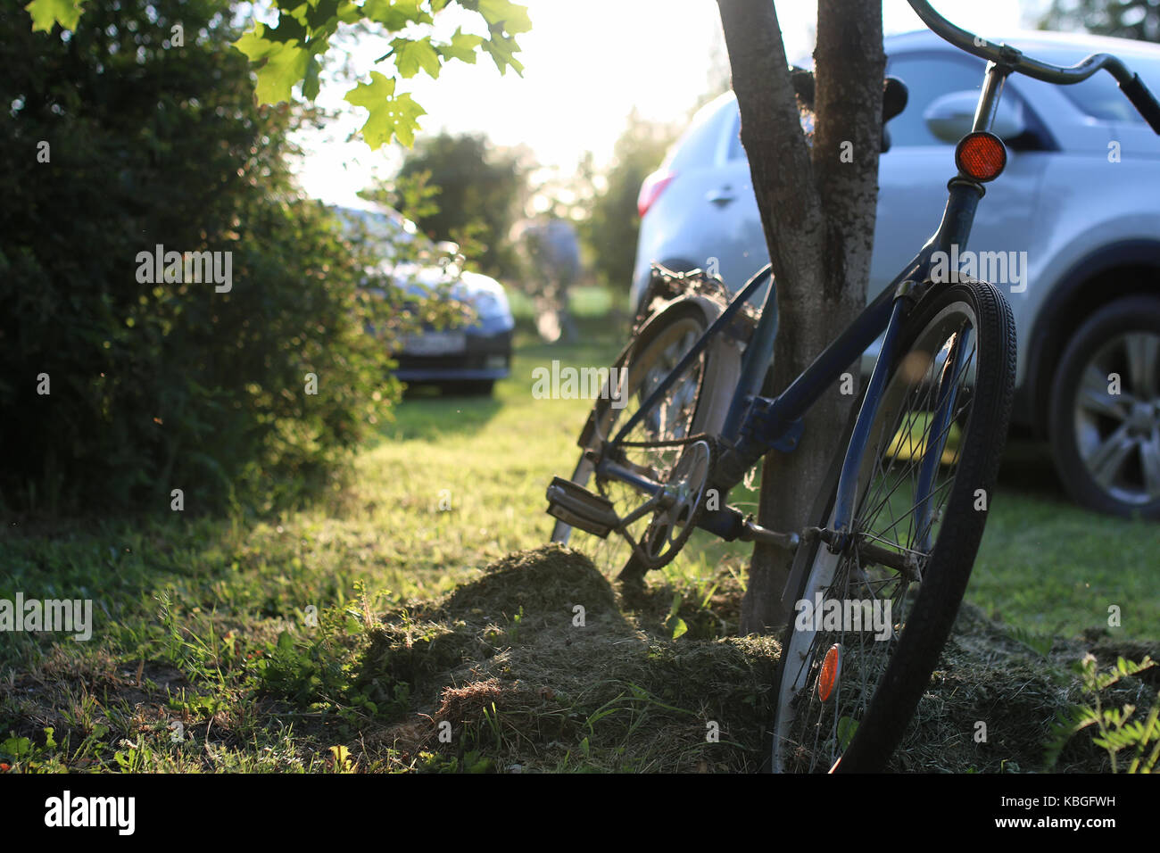 bicycle on a rural nature Stock Photo - Alamy