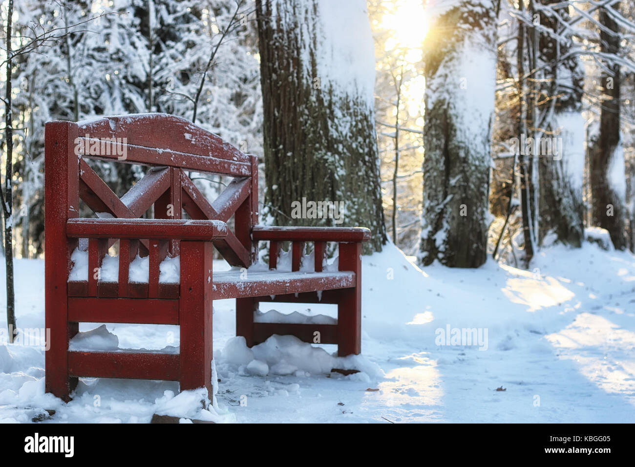 wood bench in winter Stock Photo - Alamy