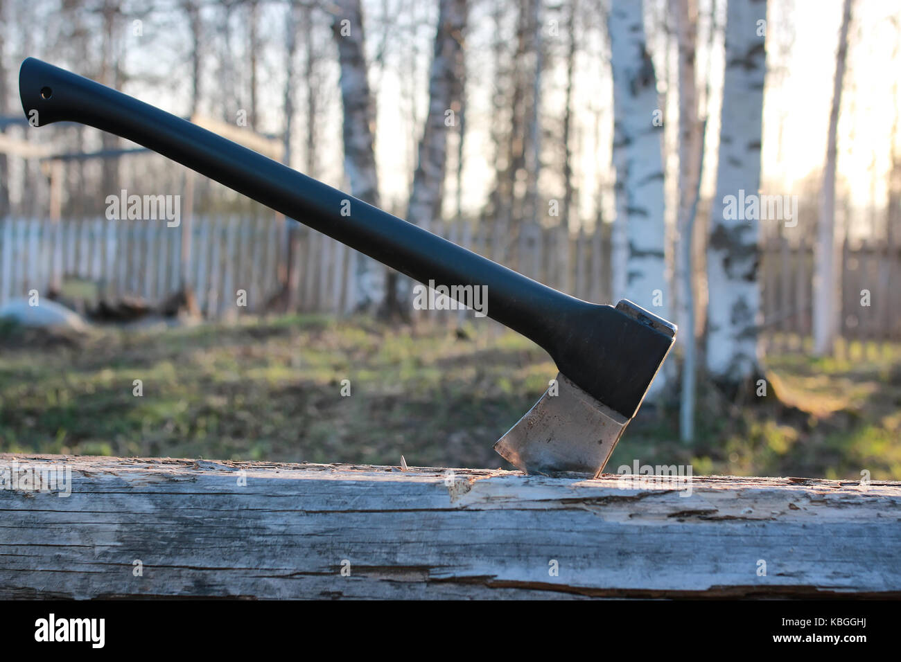 axe in wood outdoor Stock Photo - Alamy