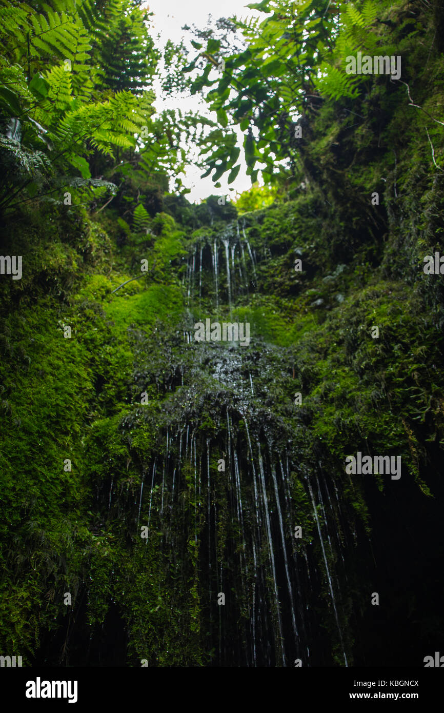 Nature fountain hi-res stock photography and images - Alamy