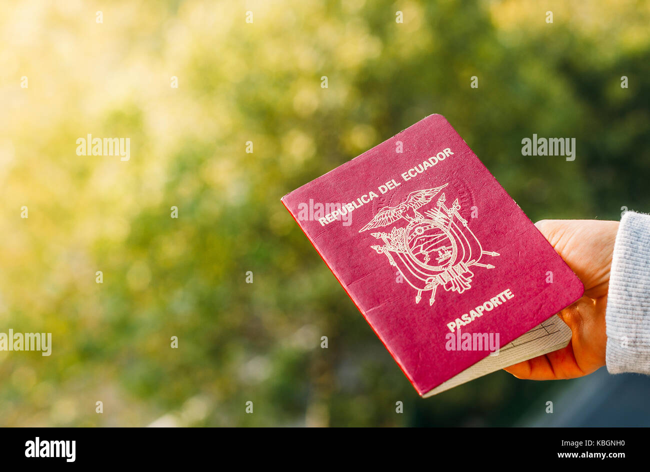 Someone holding a passport from the Republic of Ecuador, isolated ...