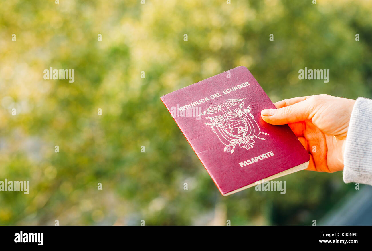 Someone holding a passport from the Republic of Ecuador, isolated ...