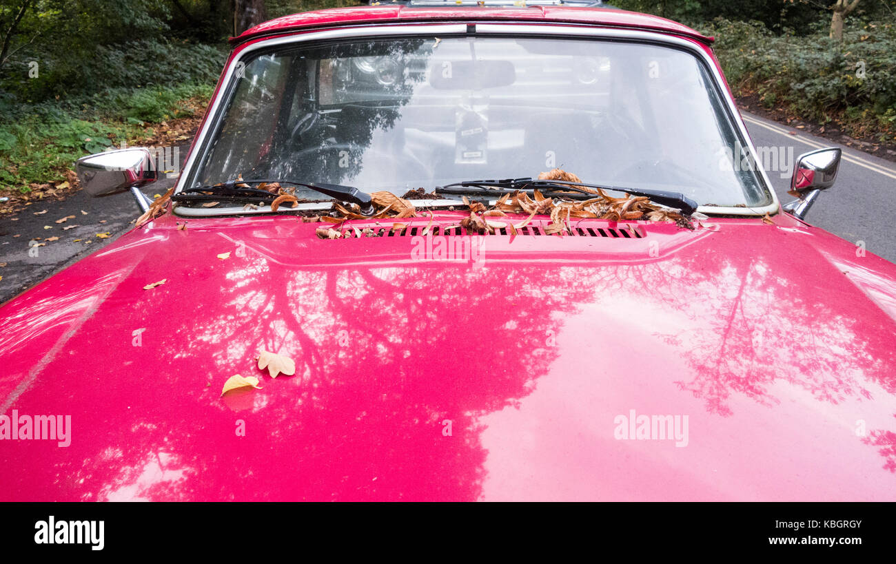 Autumn leaves on a British Leyland Triumph Spitfire 1500 sports car ...