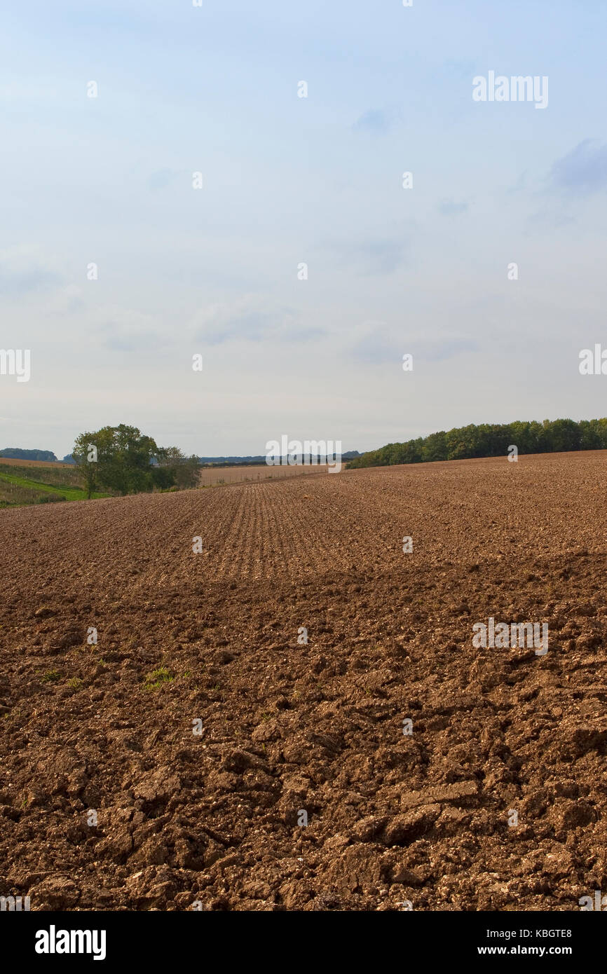 Cultivated hillside hi-res stock photography and images - Alamy