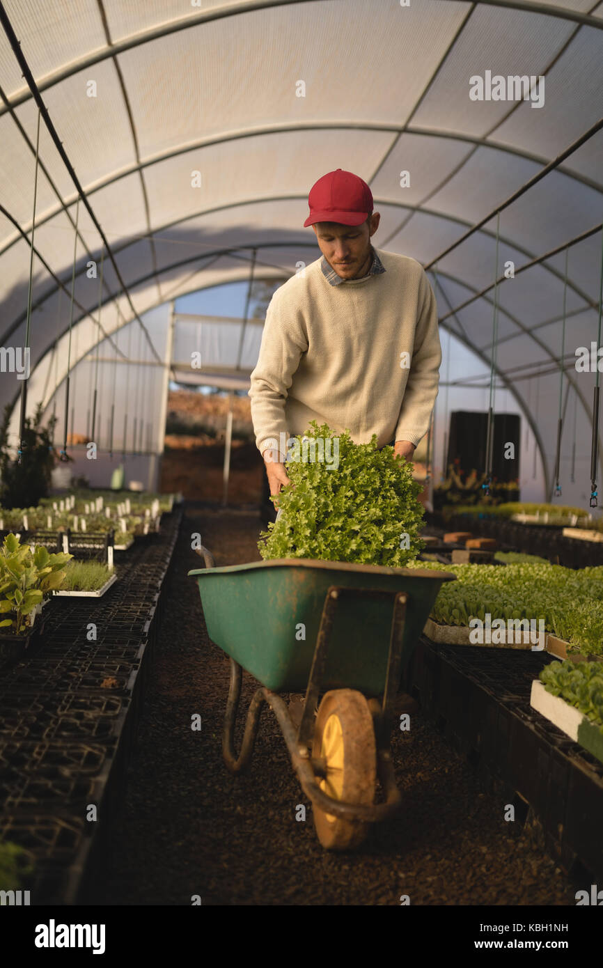 Farmer call center hi-res stock photography and images - Alamy