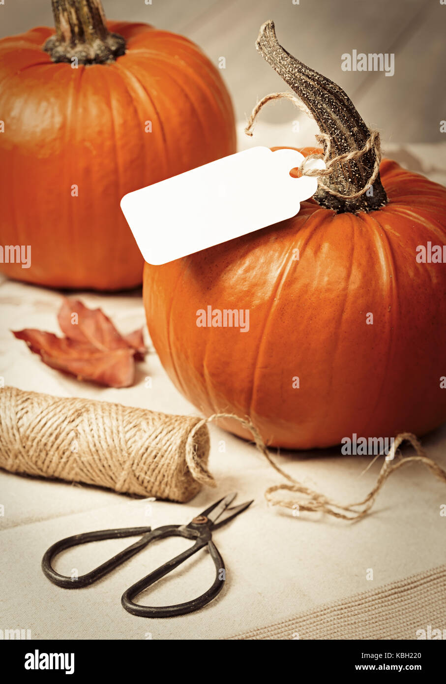 Pumpkins tied with rustic label for thanksgiving table setting - label ...