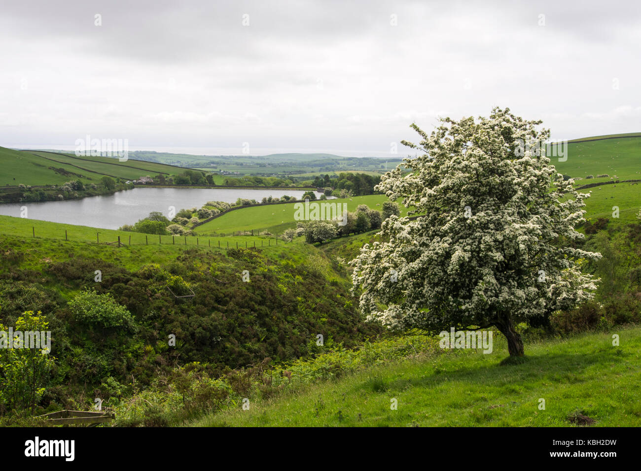 Pennington reservoir hi-res stock photography and images - Alamy