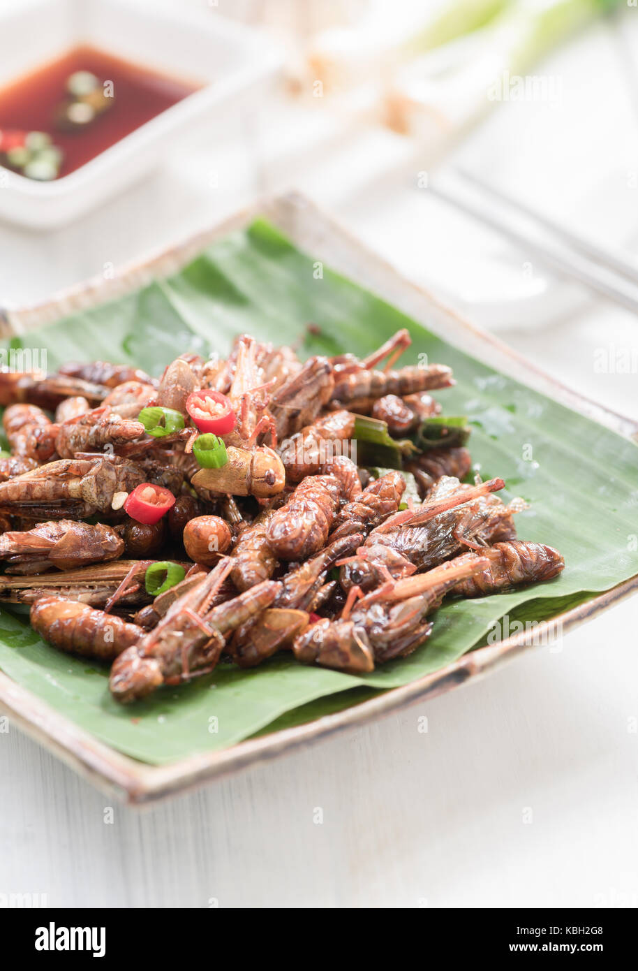 Fried grasshoppers and fried worm or fried silkworms, edible insect ...
