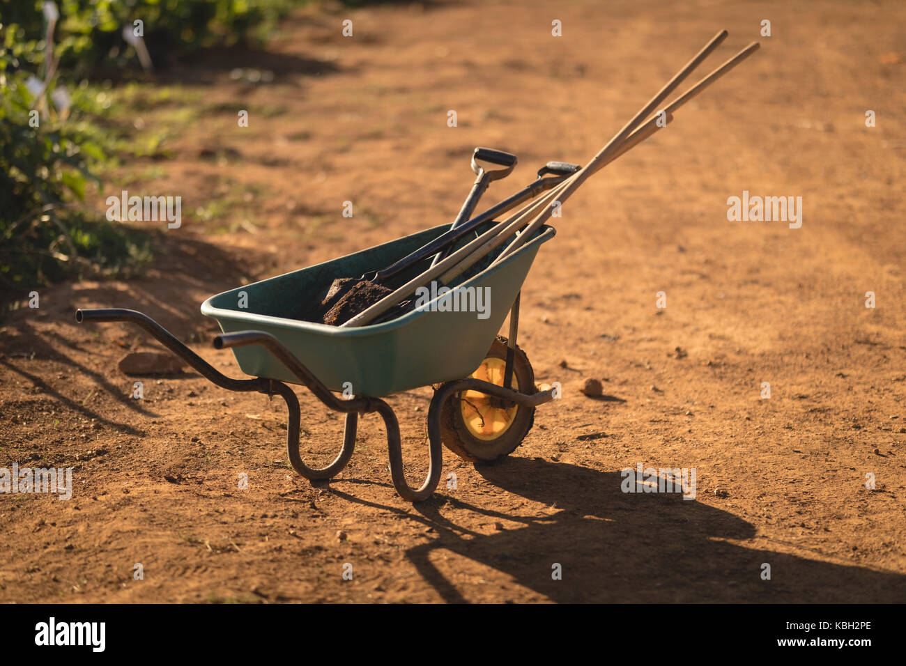 Work tools in wheelbarrow on a sunny day Stock Photo - Alamy