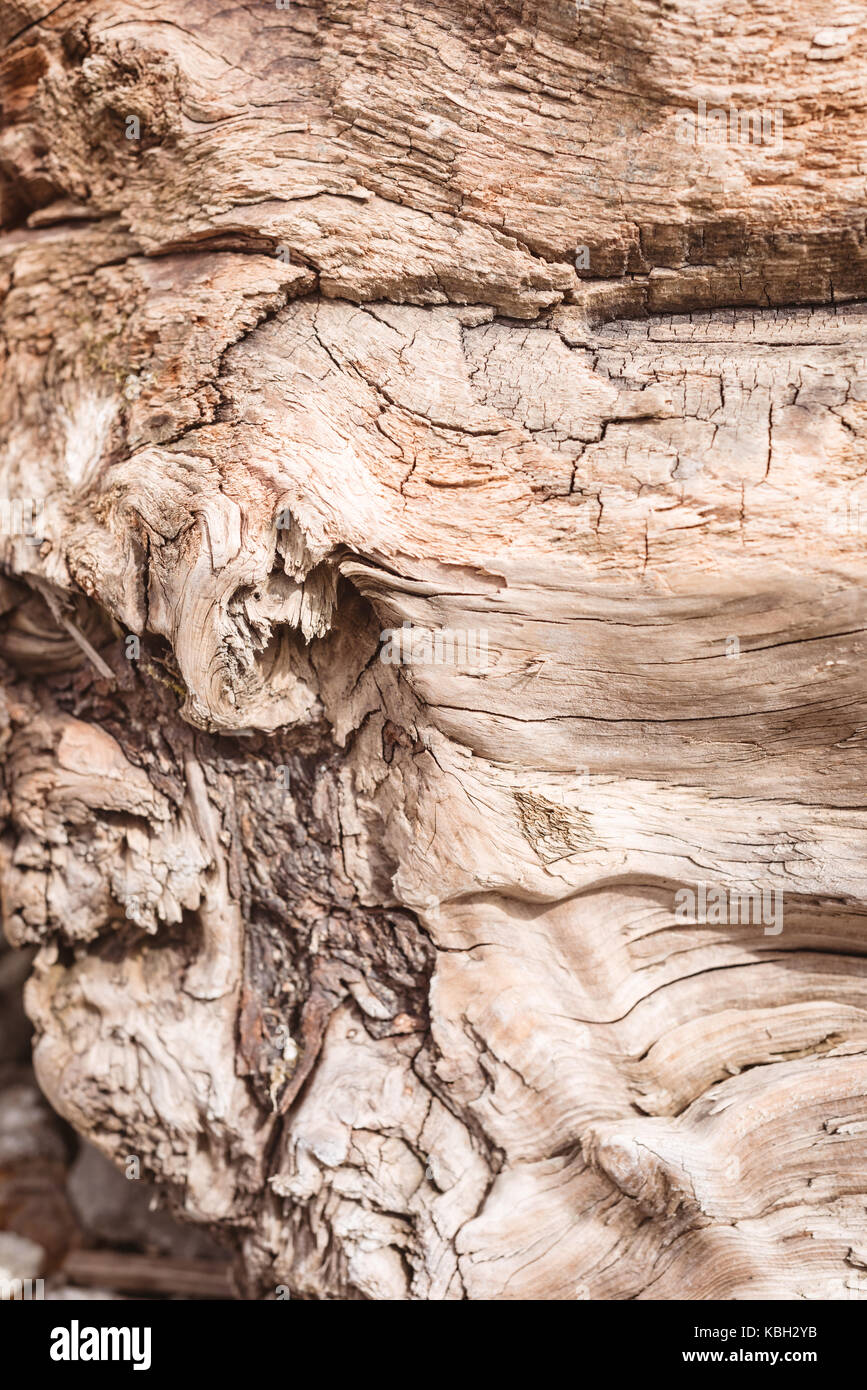 Close up of damaged textured wood Stock Photo - Alamy